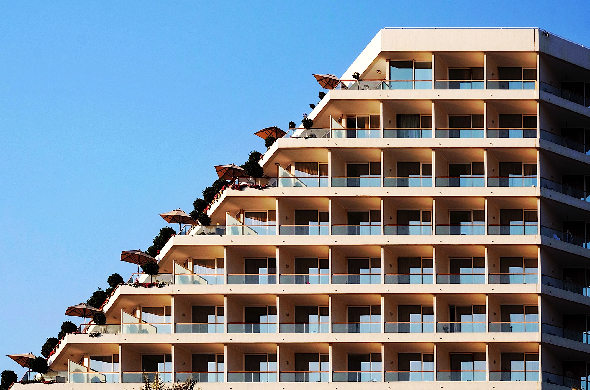 Transitioning to High-Rise Living - Tracy Carson, Sales Representative ...